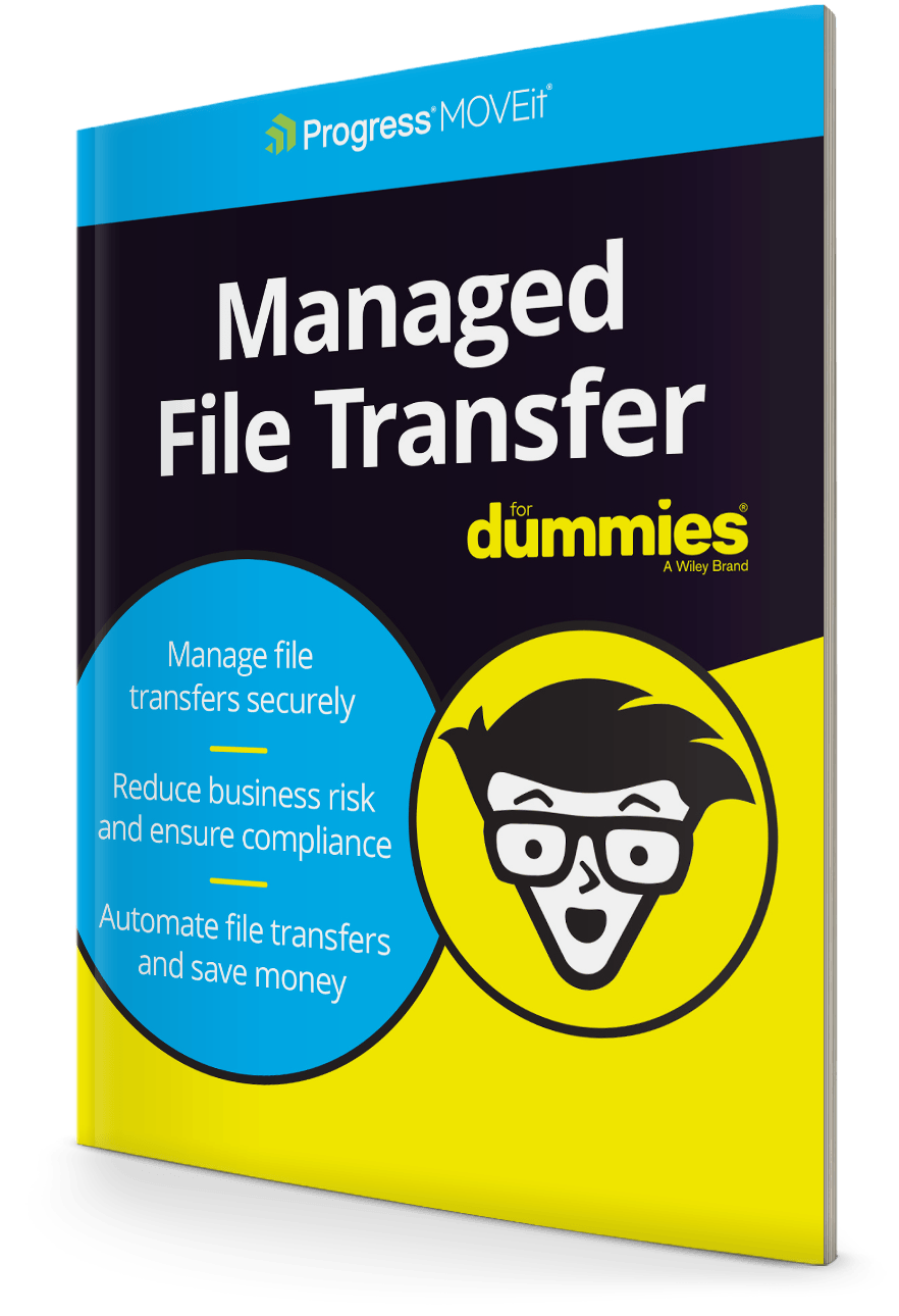 Moveit Managed File Transfer For Dummies